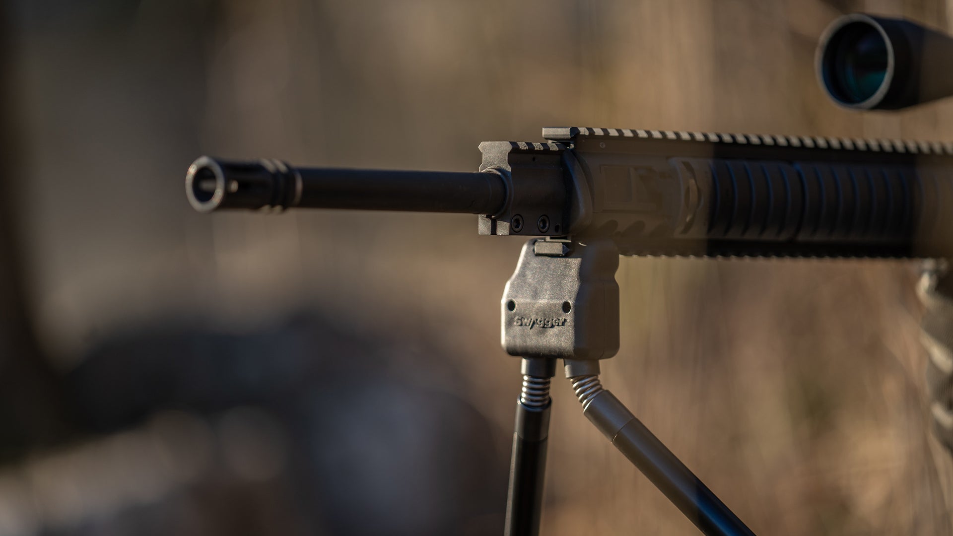 Two Ways To Prepare For A Successful Predator Season – swaggerbipods